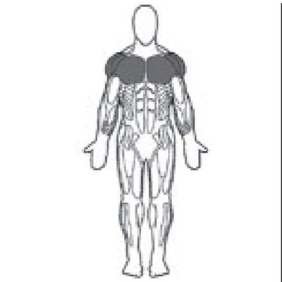 Bowflex Bench Press - Exercise How-to - Workout Trainer by Skimble