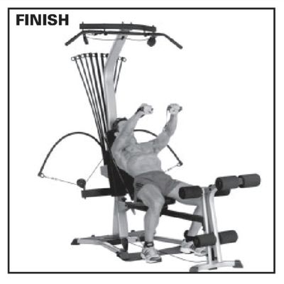 Bowflex Seated Lat Rows - Exercise How-to - Workout Trainer by Skimble
