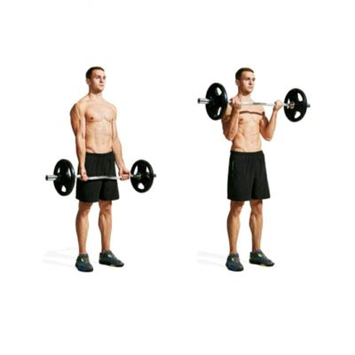 Cable Reverse Curl - Exercise How-to - Workout Trainer by Skimble