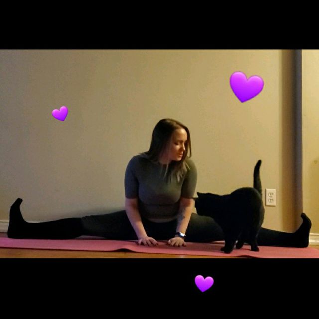 Middle Split - Oversplit Stretch - Exercise How-to - Workout Trainer by ...