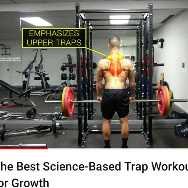 UPPER TRAPS - UPPER KNEE - Exercise How-to - Workout Trainer by Skimble