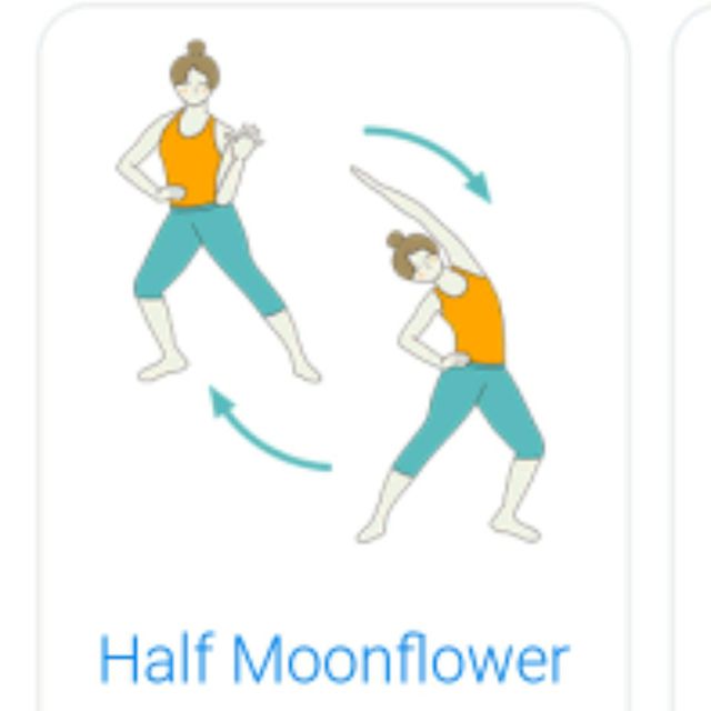 Half Moonflower Flow by 𝔻𝕖𝕤𝕖𝕣𝕥 𝔽𝕠𝕩🦊 🌟 - Exercise How-to - Skimble