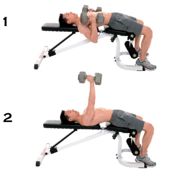 Neutral Press by Blissed Out Baker -plant Based Chef - Exercise How-to ...