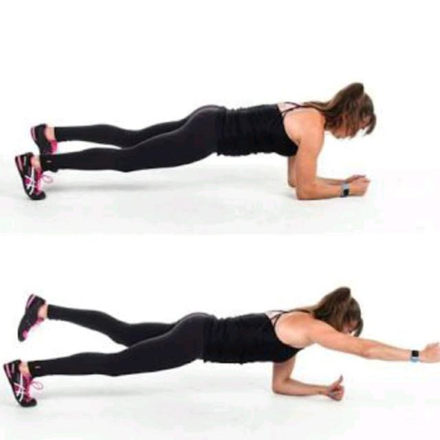 Elbow Plank With RIGHT arm Raise, HOLD 15 SECONDS - Exercise How-to ...