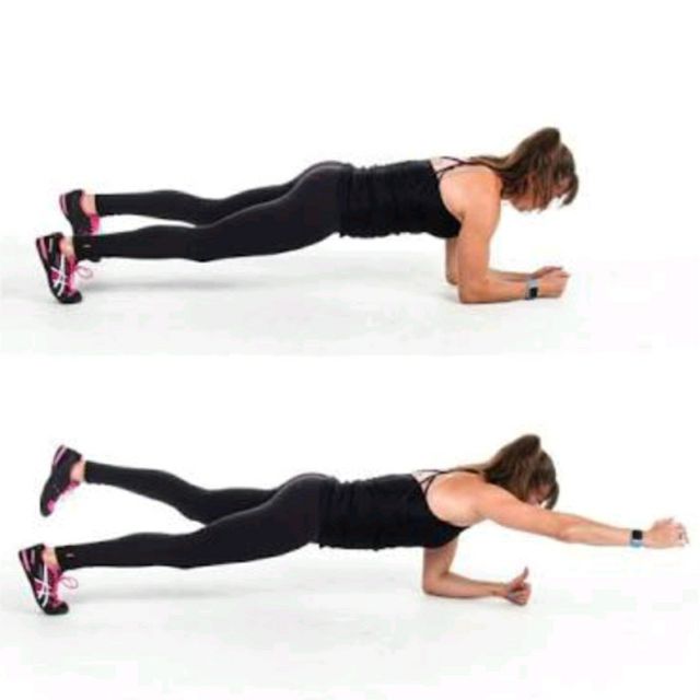 ELBOW Plank RIGHT Bird Dog HOLD 15 Sec by 𝔻𝕖𝕤𝕖𝕣𝕥 𝔽𝕠𝕩🦊 🌟 - Exercise How ...