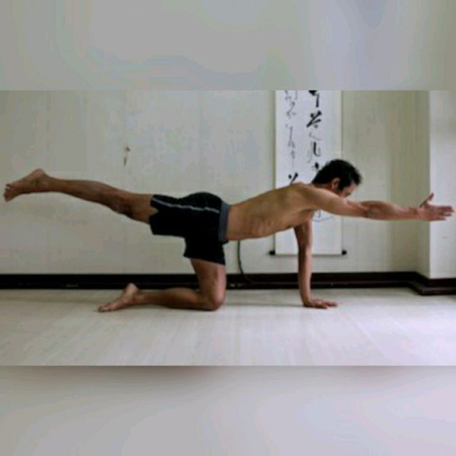 Left Single Side Bird Dog by Luca⚡ 🔹. - Exercise How-to - Skimble