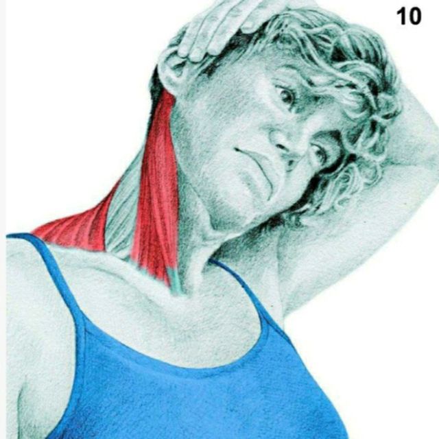 Lateral Side Flexion of the Neck with Hand Assistance by Vincent H ...