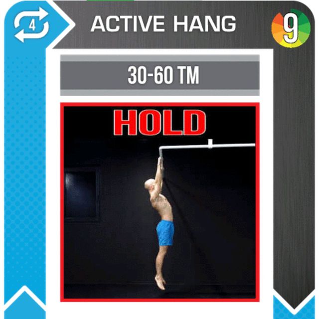 Active Hang (Hold) - Exercise How-to - Workout Trainer by Skimble