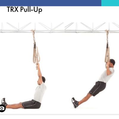 Trx Push Up - Exercise How-to - Workout Trainer by Skimble