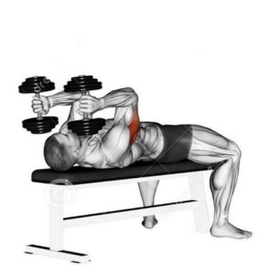 DB FIT PRESS - Exercise How-to - Workout Trainer by Skimble