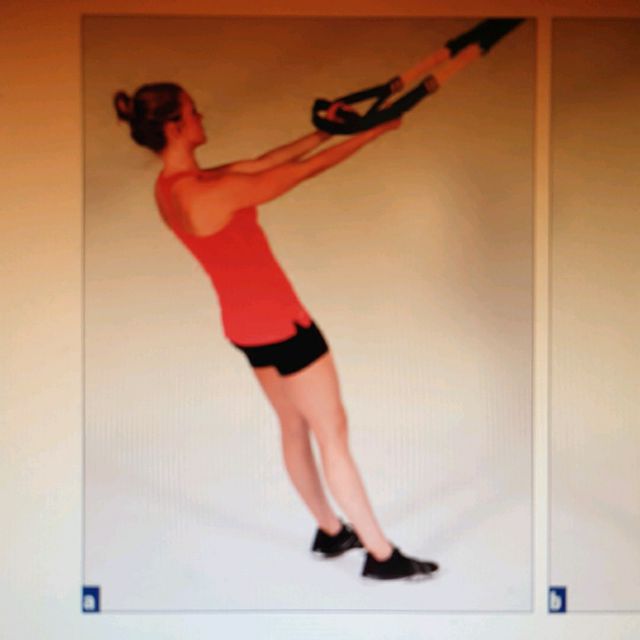 TRX Biceps Curl por Wayne S. - Ejercicio Cómo hacerlo - Skimble
