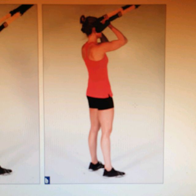TRX Biceps Curl by Wayne S. - Exercise How-to - Skimble