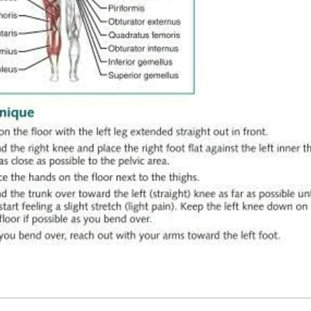 SEATED HIP EXTERNAL ROTATOR AND HIP EXTENSOR STRETCH by Vincent H ...