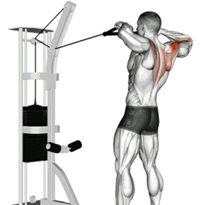 Plate Pushes - Exercise How-to - Workout Trainer by Skimble