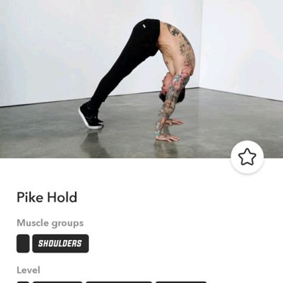 Pike Hold - Exercise How-to - Workout Trainer by Skimble
