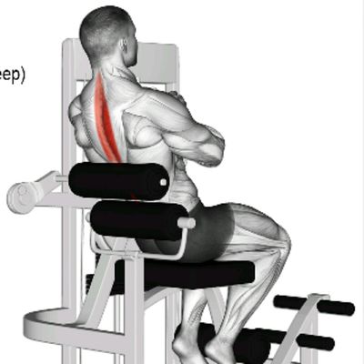 Lying Leg Curl Machine - Exercise How-to - Workout Trainer by Skimble