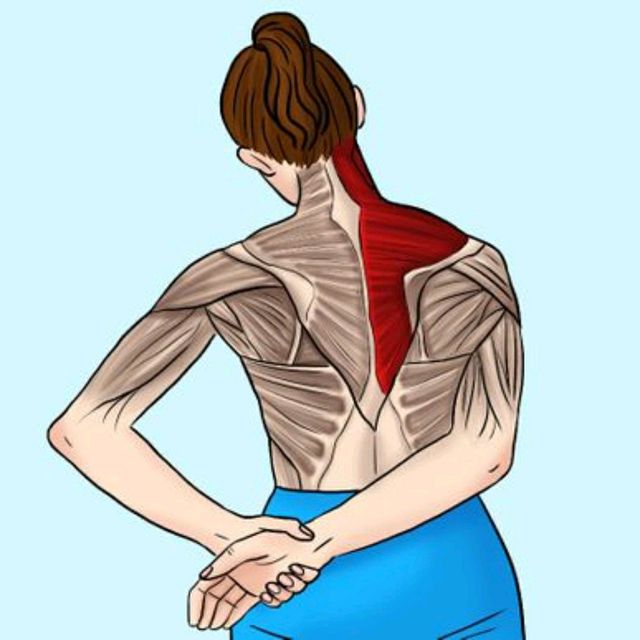 Upper Trapezius Stretch By Shana Martin Exercise How to Skimble Upper Trapezius Stretch By Shana Martin Exercise How to Skimble