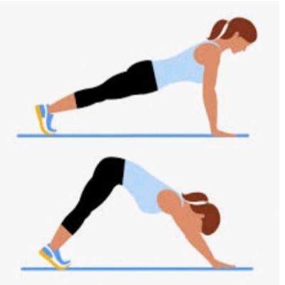 Plank Hip Twists - Exercise How-to - Workout Trainer by Skimble