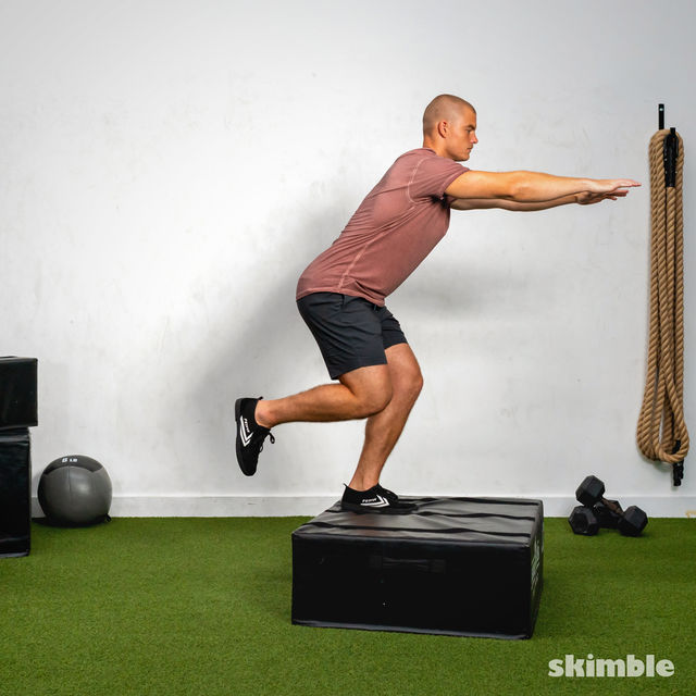Left Leg Box Jumps - Exercise How-to - Skimble Workout Trainer