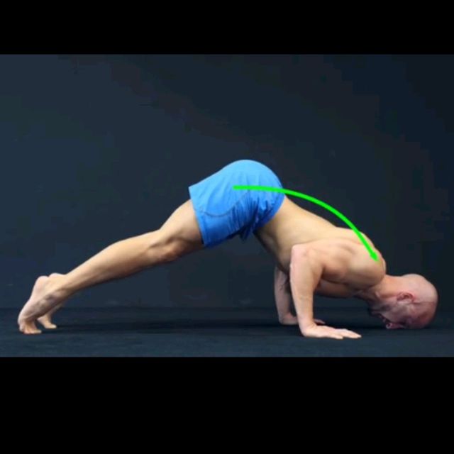 Pike Push Ups - Exercise How-to - Workout Trainer by Skimble