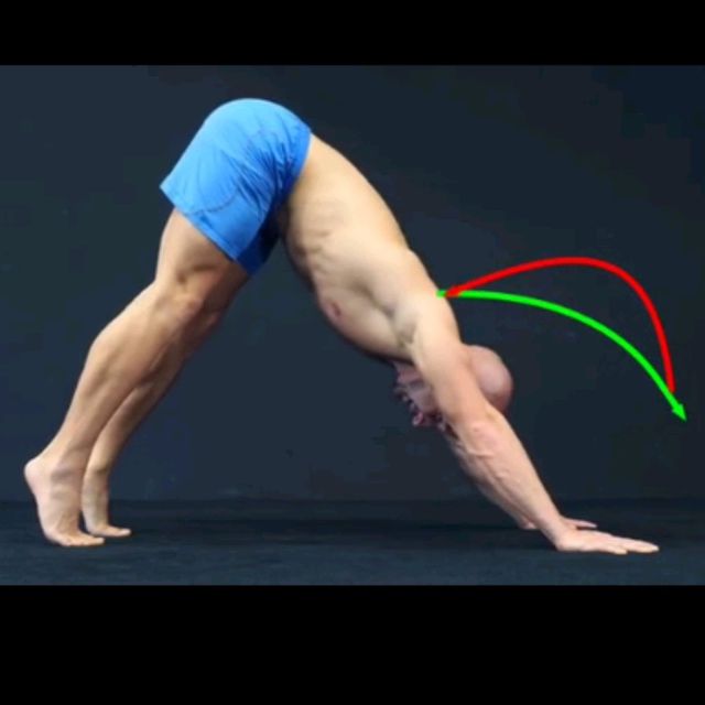 Pike Push Ups - Exercise How-to - Workout Trainer by Skimble