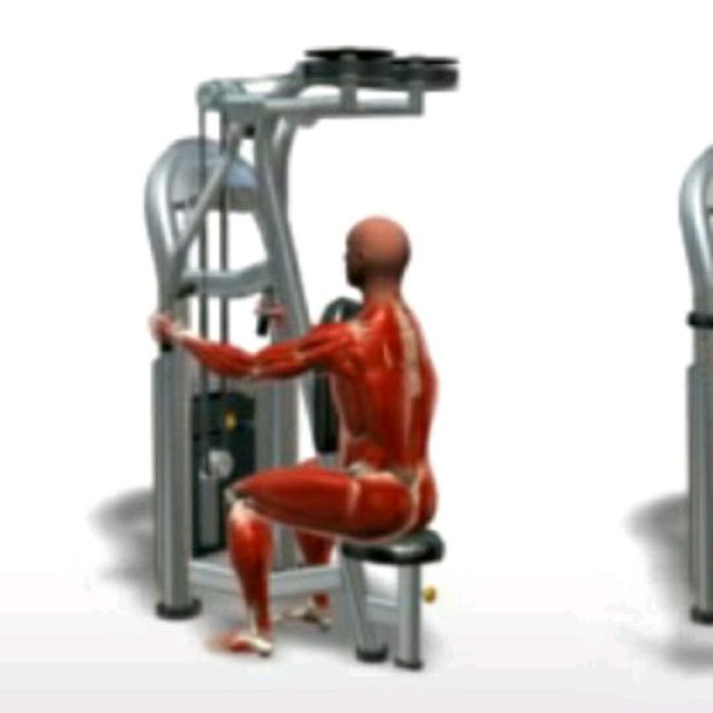 Seated Rear Delt Machine - Exercise How-to - Workout Trainer by Skimble