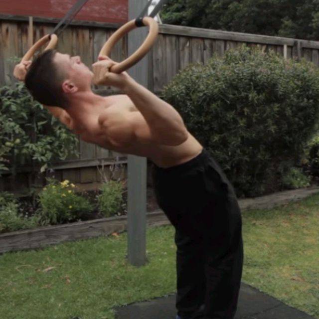 Face Pull (Rings) - Exercise How-to - Workout Trainer by Skimble