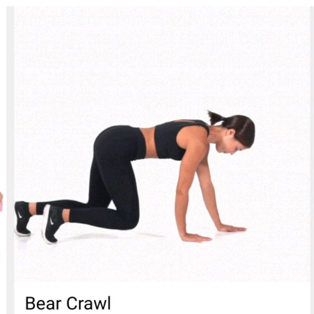 Bear Crawl by Tanya M. - Exercise How-to - Skimble
