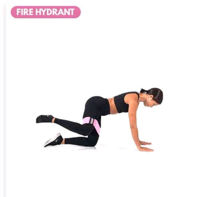 Donkey Kick Fire Hydrant Combo by Tanya M. - Exercise How-to - Skimble
