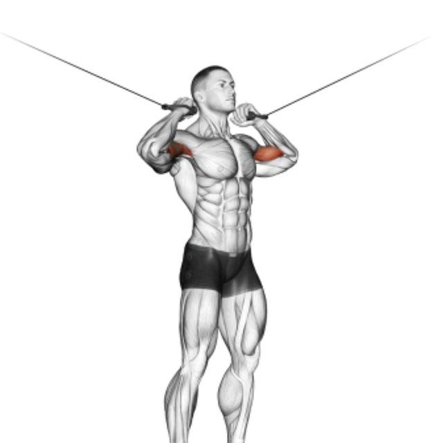 Overhead Biceps Curl by Zsolt Dobroczki - Exercise How-to - Skimble