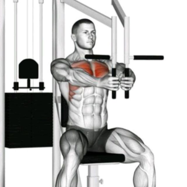 Chest Fly by Zsolt Dobroczki - Exercise How-to - Skimble