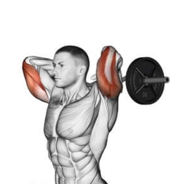 Triceps Extension by Zsolt Dobroczki - Exercise How-to - Skimble