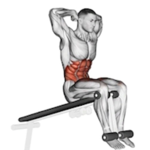 Bench Situps by Zsolt Dobroczki - Exercise How-to - Skimble