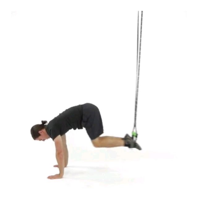 8 Suspension Frog Kicks - Exercise How-to - Workout Trainer by Skimble