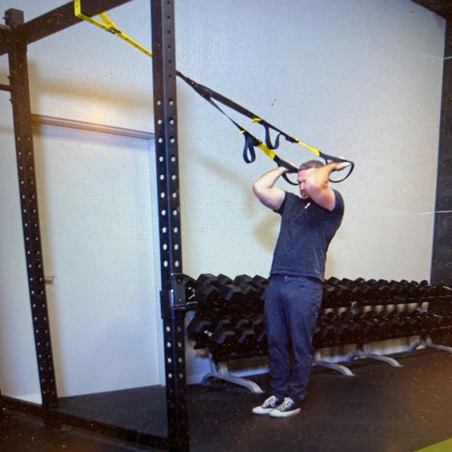 TRX Curls - Exercise How-to - Workout Trainer by Skimble