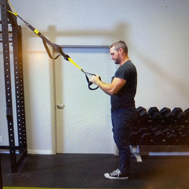 TRX Alternating Lateral Lunges - Exercise How-to - Workout Trainer by ...