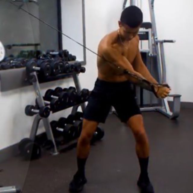 High To Low Wood Chops - Exercise How-to - Skimble