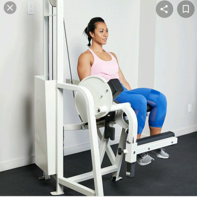 Leg Extension by Martel Berry - Exercise How-to - Skimble