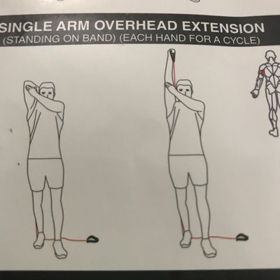 Single Arm Over Head Extension - Exercise How-to - Workout Trainer by ...