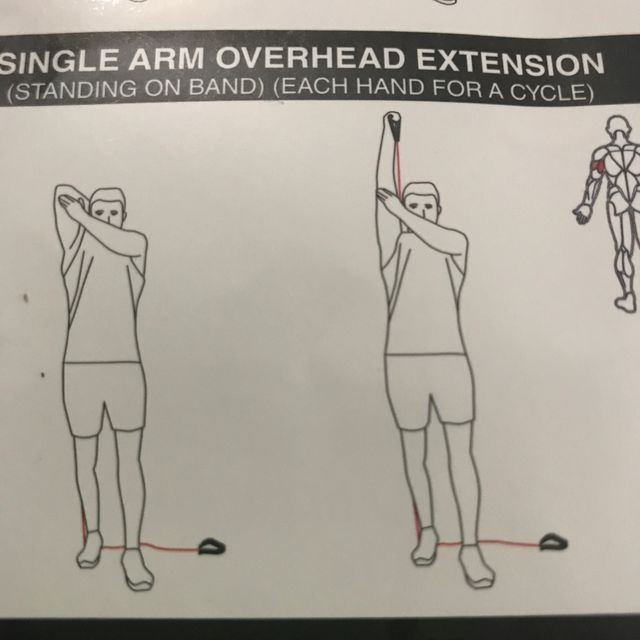 Single Arm Over Head Extension - Exercise How-to - Workout Trainer by ...