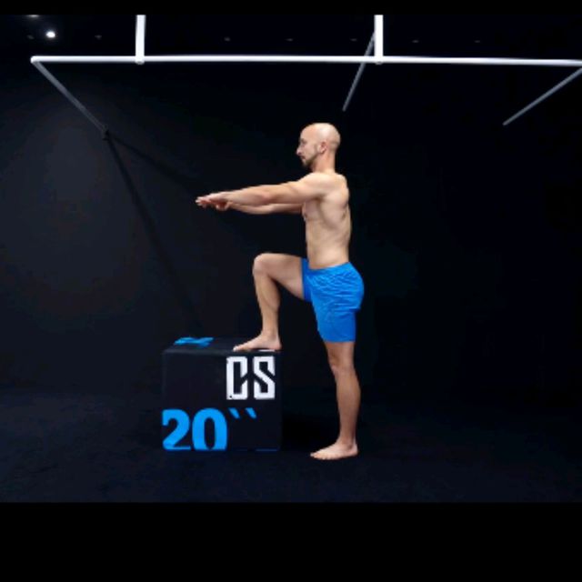 High Box Step Ups - Exercise How-to - Workout Trainer by Skimble