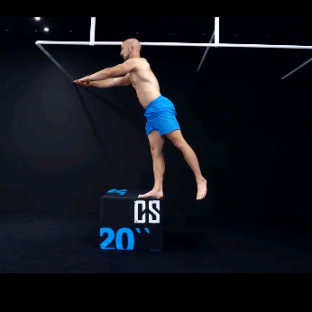 High Box Step Ups by Alex 🌊. - Exercise How-to - Skimble