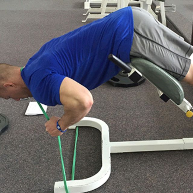 Banded Hyperextension - Exercise How-to - Workout Trainer by Skimble