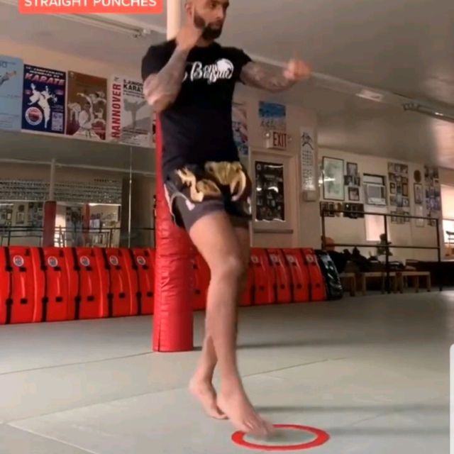 Switch Stance Straight Punch by Ese C. - Exercise How-to - Skimble