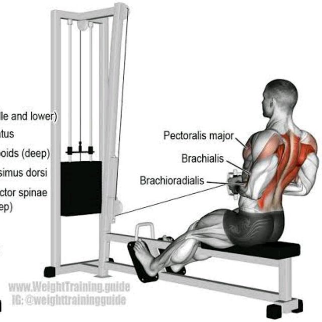 Standing/seated Close Row by Fawwaz Sathaar - Exercise How-to - Skimble
