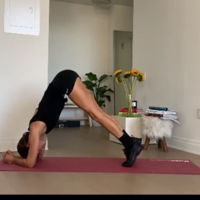 Dolphin Pike To Bear Hover by Rushfitness 💪🏽 - Exercise How-to - Skimble