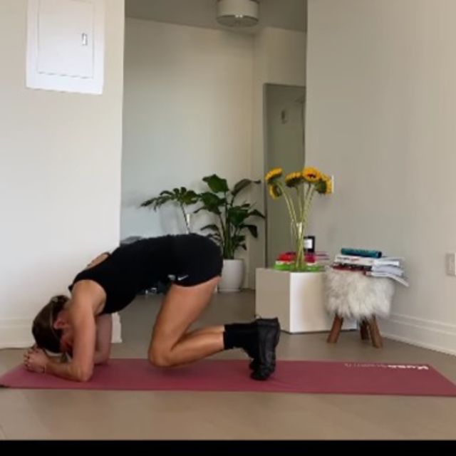 Dolphin Pike To Bear Hover by Rushfitness 💪🏽 - Exercise How-to - Skimble