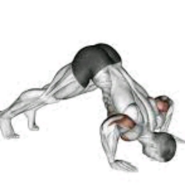 Pike Push Up - Exercise How-to - Workout Trainer by Skimble