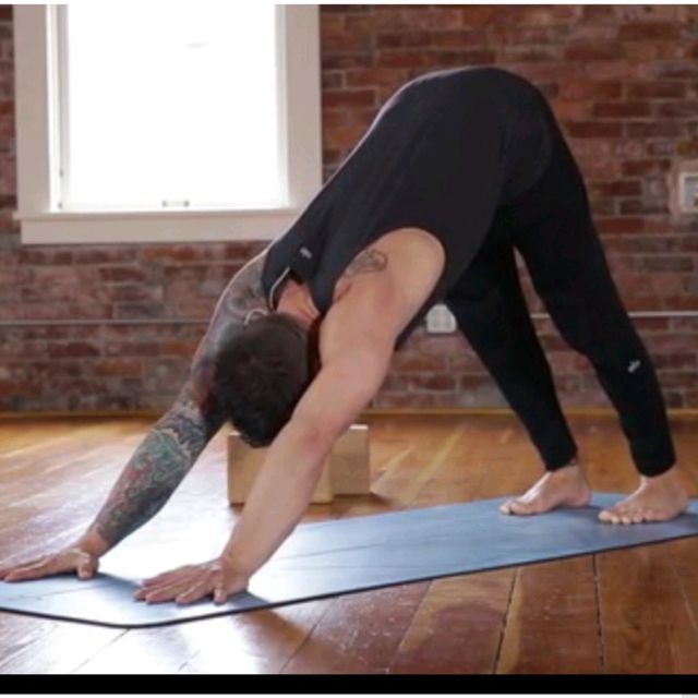 Down Dog Shoulders Extensions by Alex 🌊. - Exercise How-to - Skimble