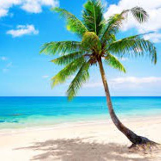 Rest And Prepare For Vasa Right Arm Only by Brian F. - Exercise How-to ...